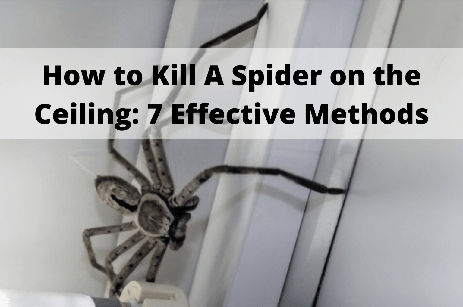 Saggy Ceiling: 6 Ways to Easily Fix It