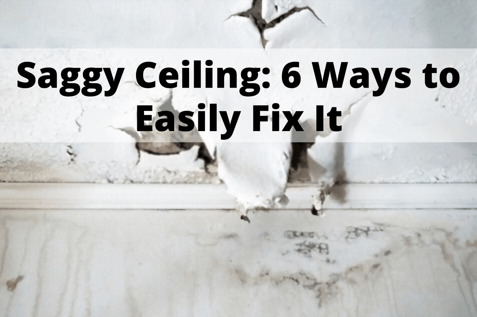 How to Kill A Spider on the Ceiling: 7 Effective Methods