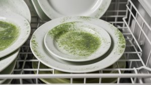 How To Clean Mold on Dishes (And Prevent It)